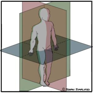 Anatomical Terminology